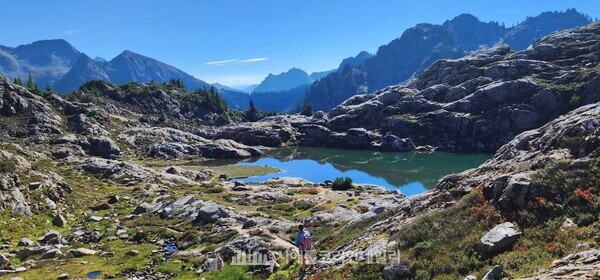 [기고] Gothic Basin,이세상과 다른 천상계를 보고 싶다면...